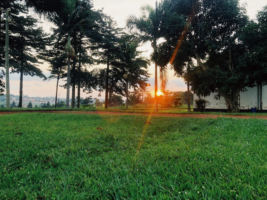 Cowan Angell, Author at 8000 Miles from Home